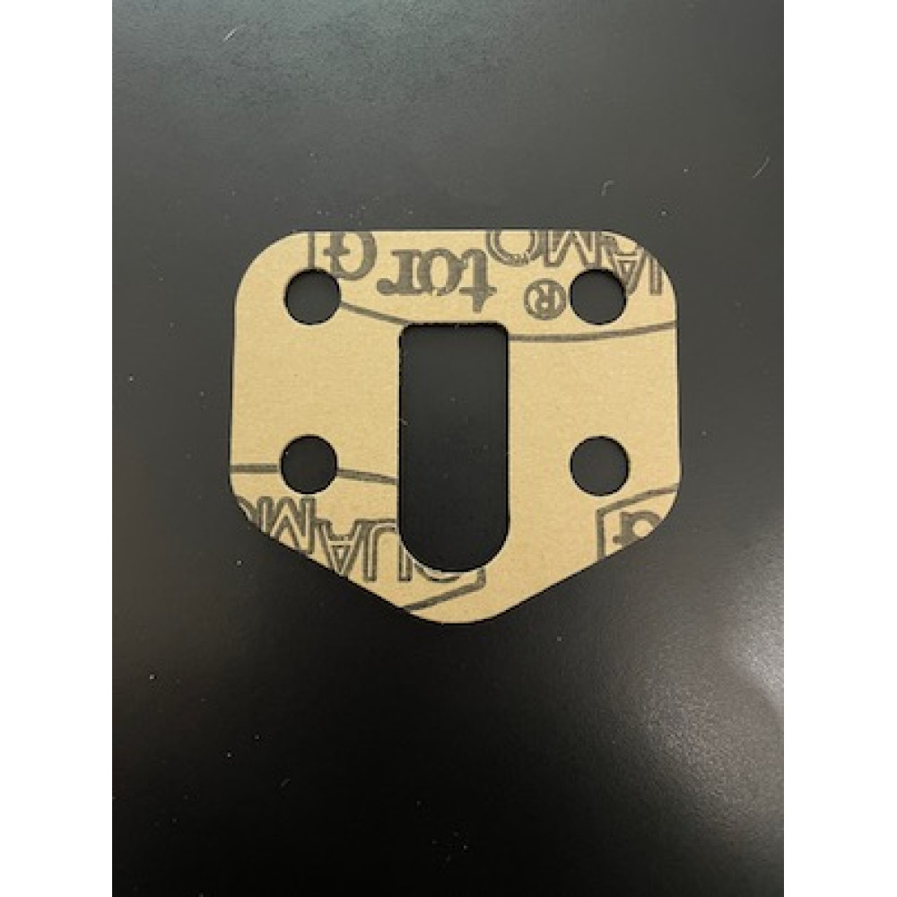 Fuel Pump Flange Gasket [FG736]